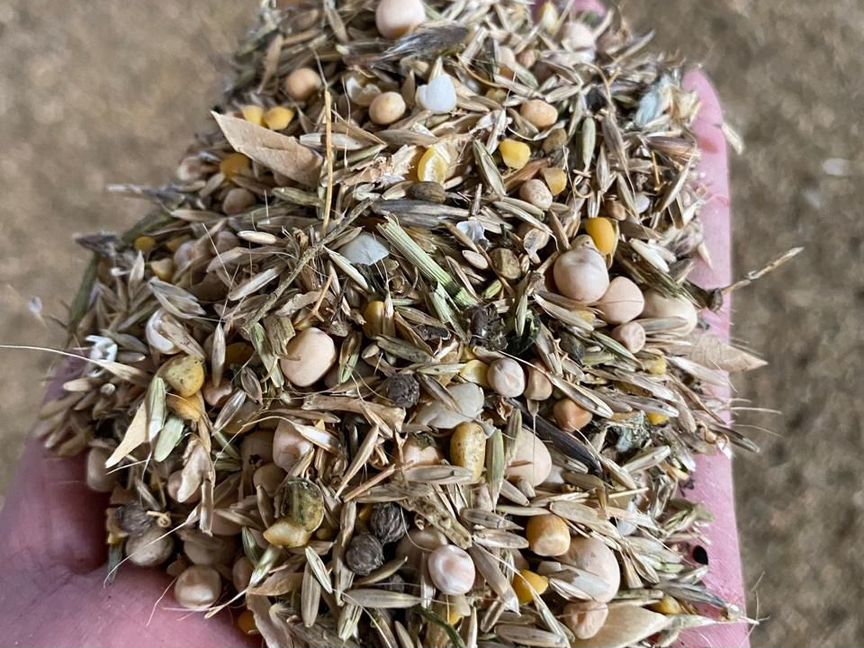 Отходы гороха с ячменем