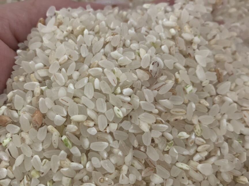 Рисовая сечка для собак