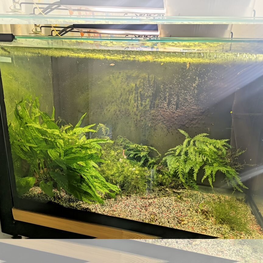 Аквариум 60 литров