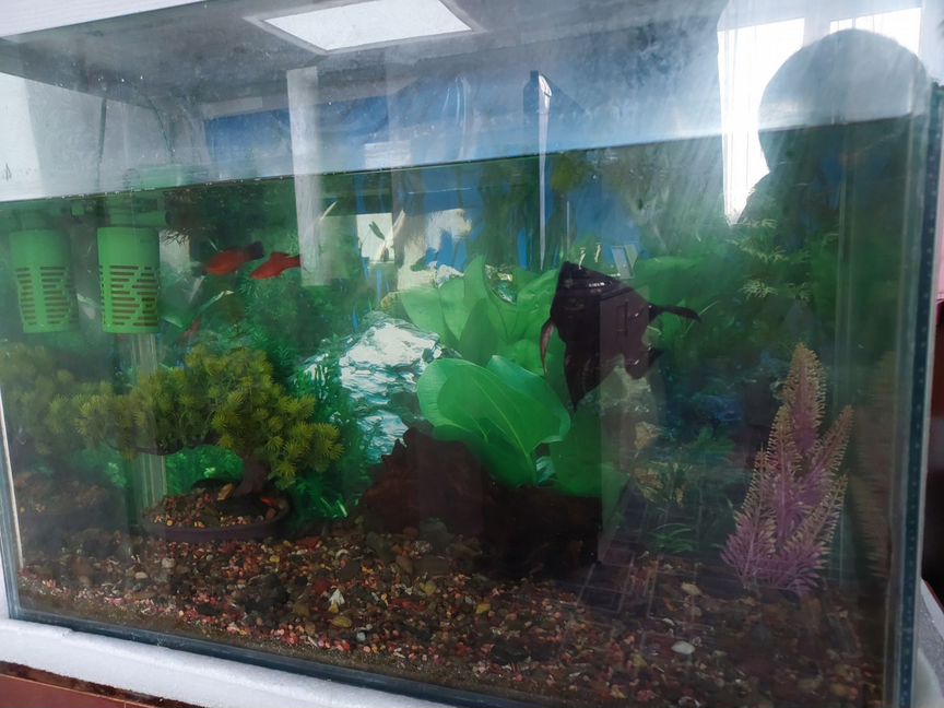 Аквариум