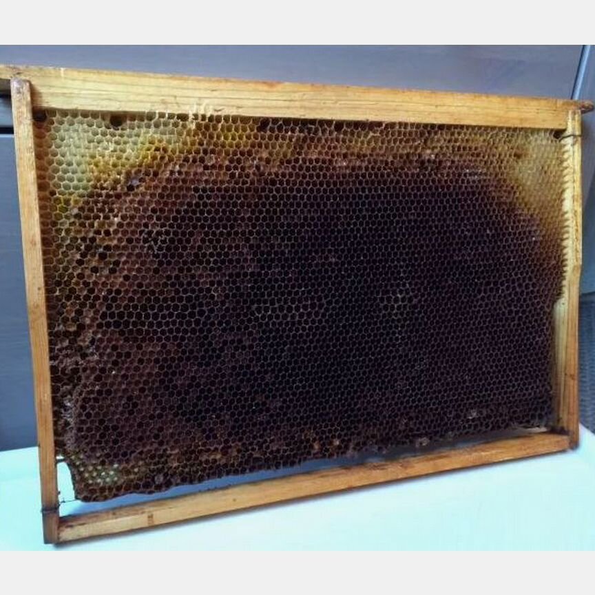 Сушь для пчел Дадан