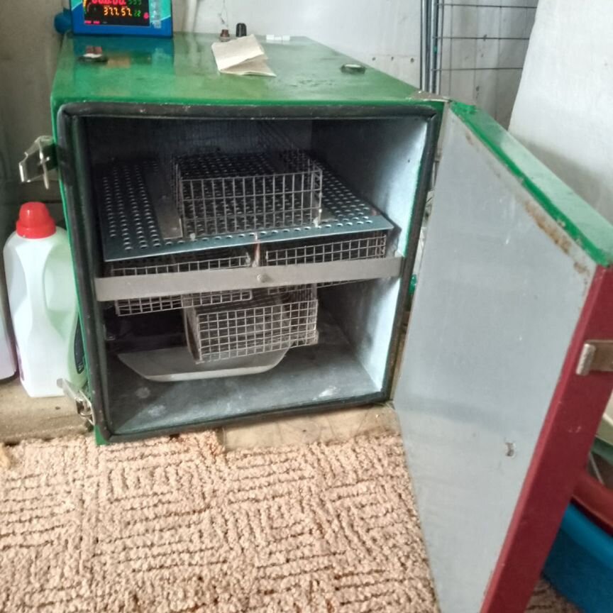 Инкубатор для яиц автоматический бу