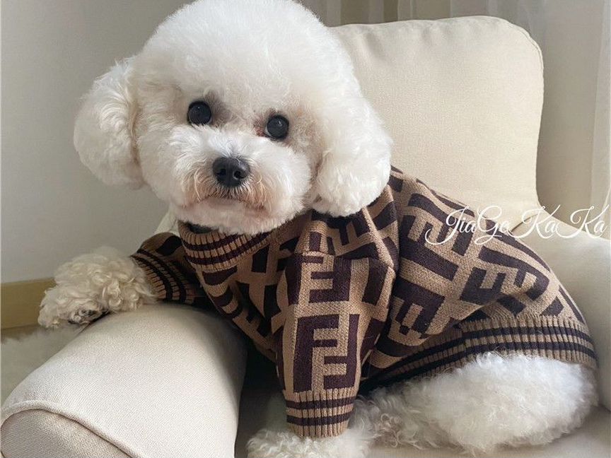 Свитер для собак и кошек Fendi