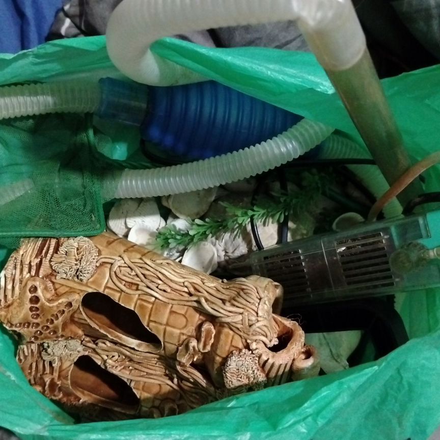 Для аквариума