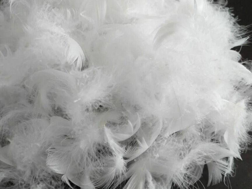 Пух гусиный