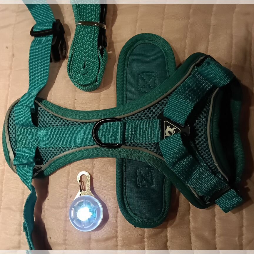 Шлейка для собаки/кошки/кролика, поводок,фонарик