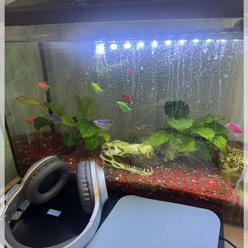 Аквариум с рыбками