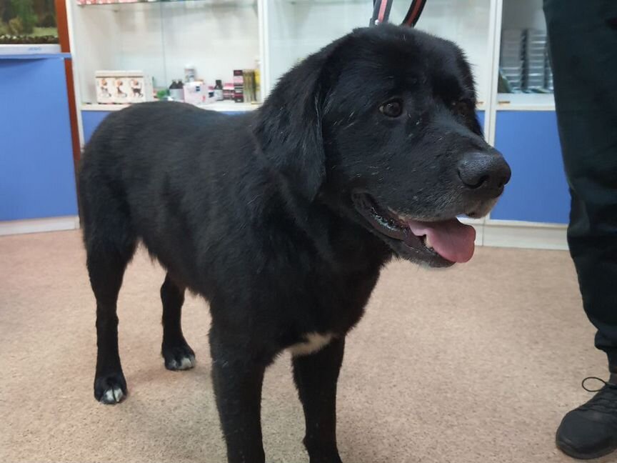 Малыш ищет маму и папу