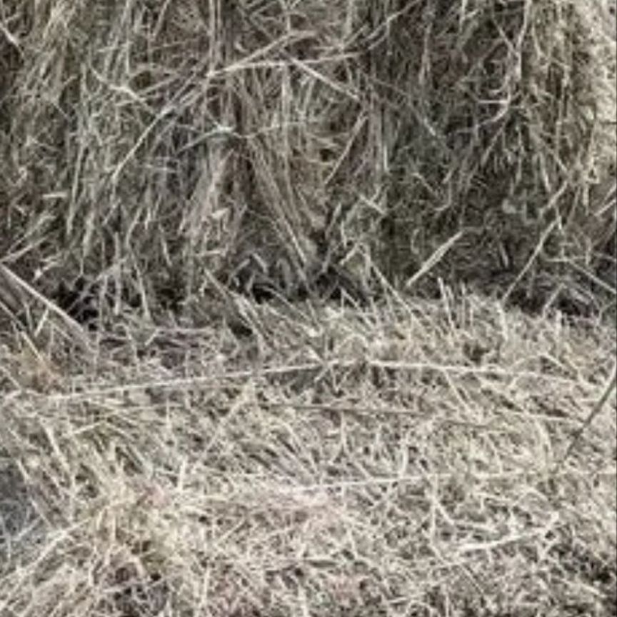 Сено в тюках