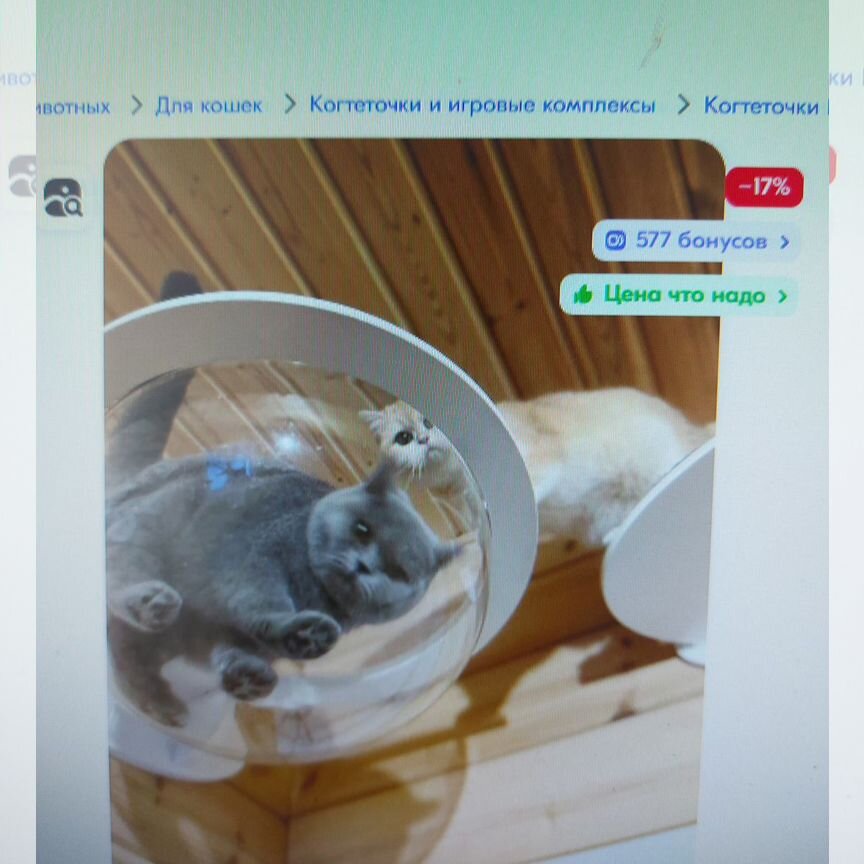 Игровой настенный комплекс для кошек