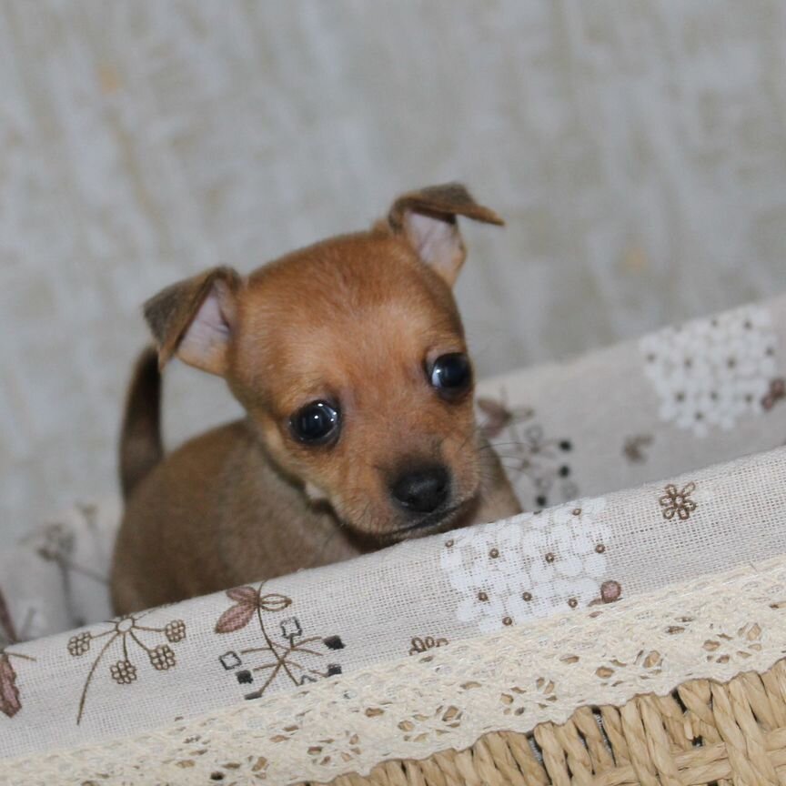 Няшные детки