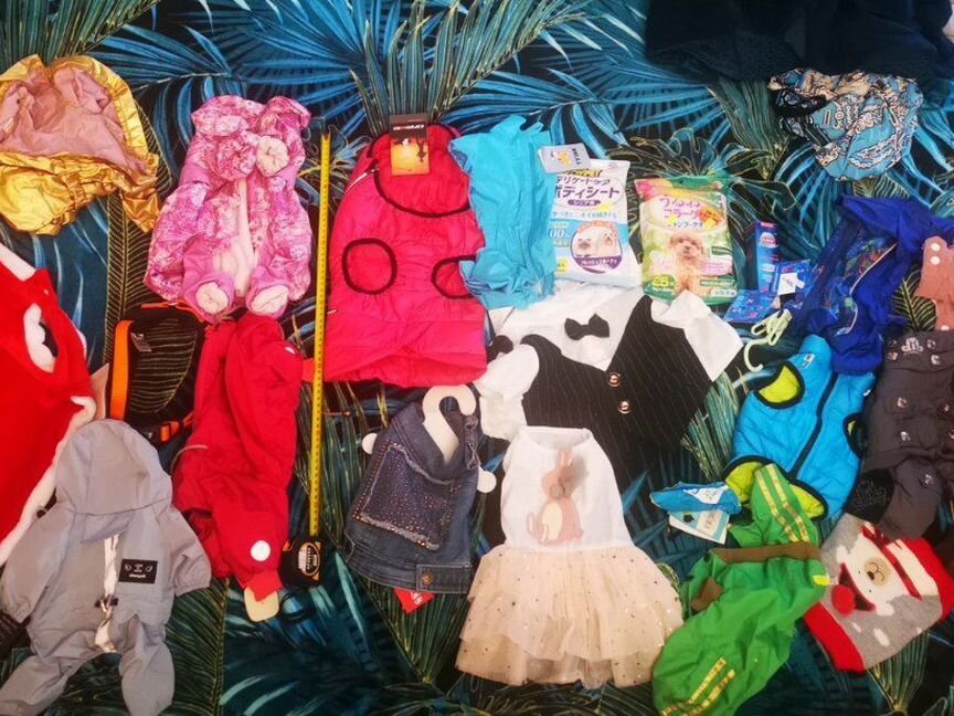 Одежда для маленьких собак пакетом