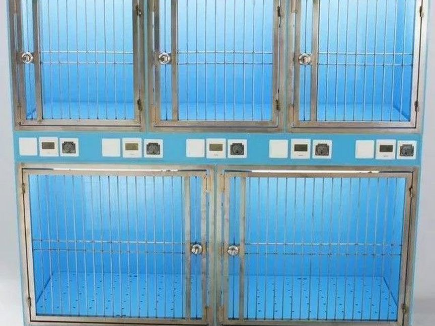 Модуль стационар ветеринарный 5 клеток 2 яруса