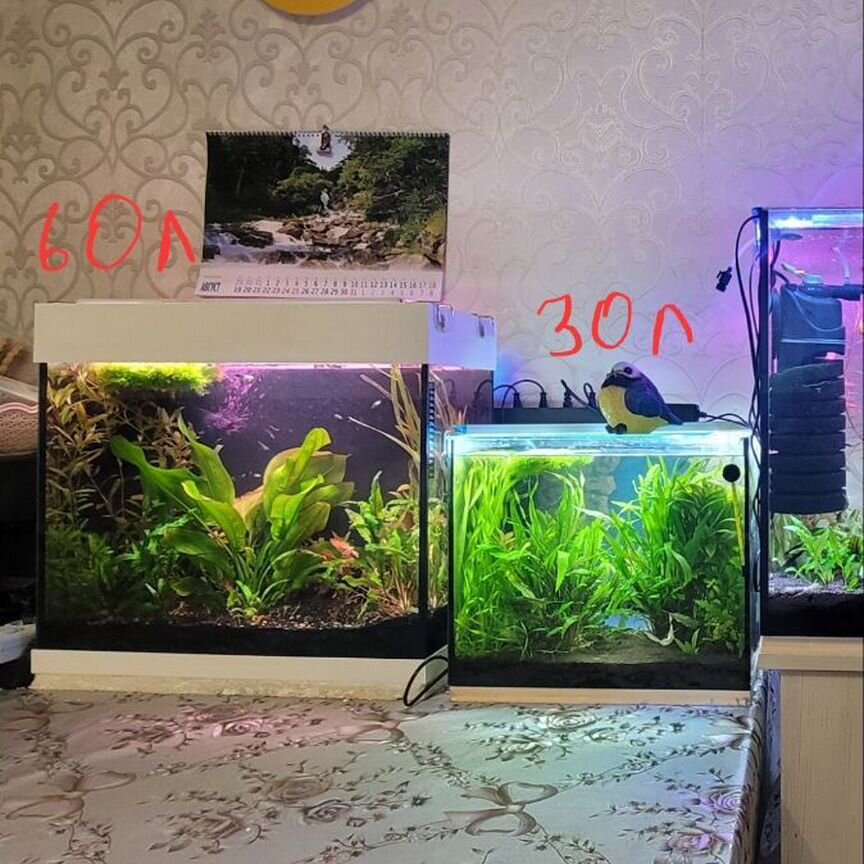 Продам аквариумы