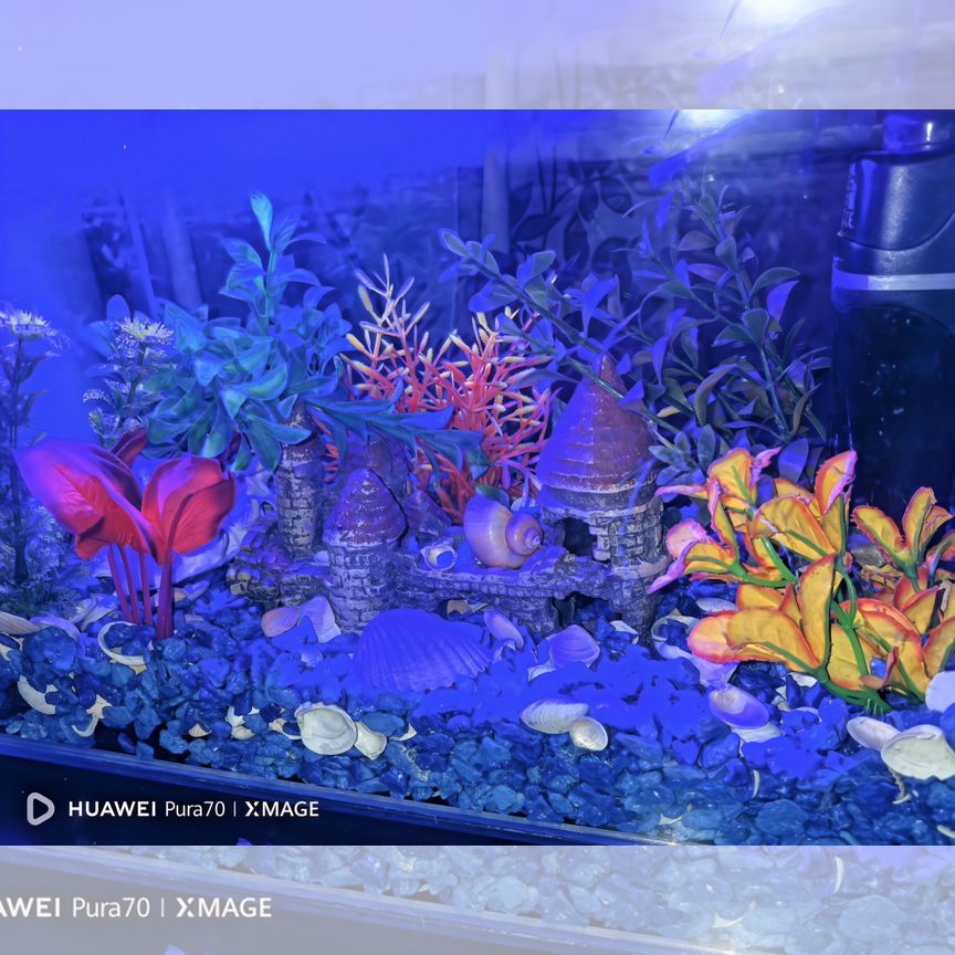 Аквариум с фильтром и с подсветкой