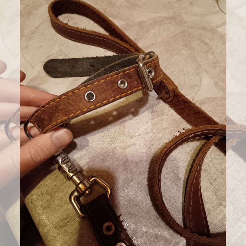 Ошейник и поводок натуральная кожа