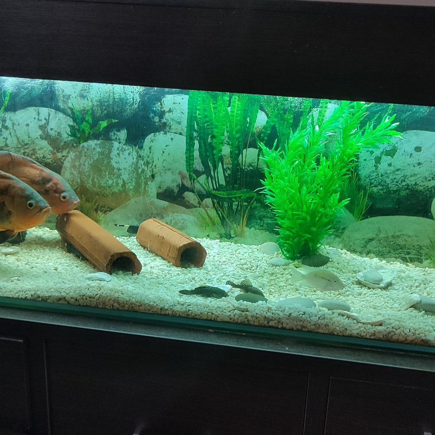 Грунт для аквариума