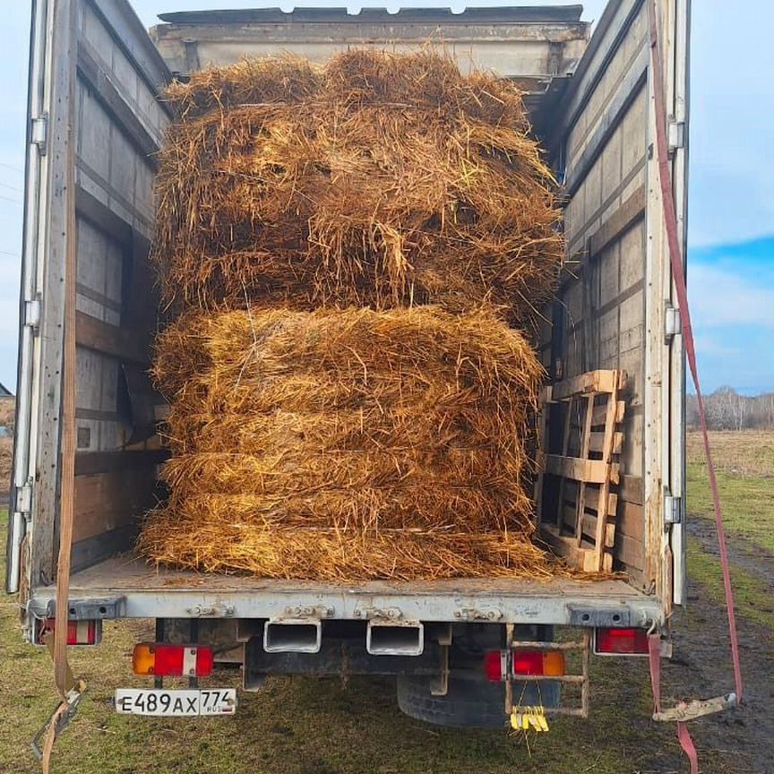 Солома в тюках