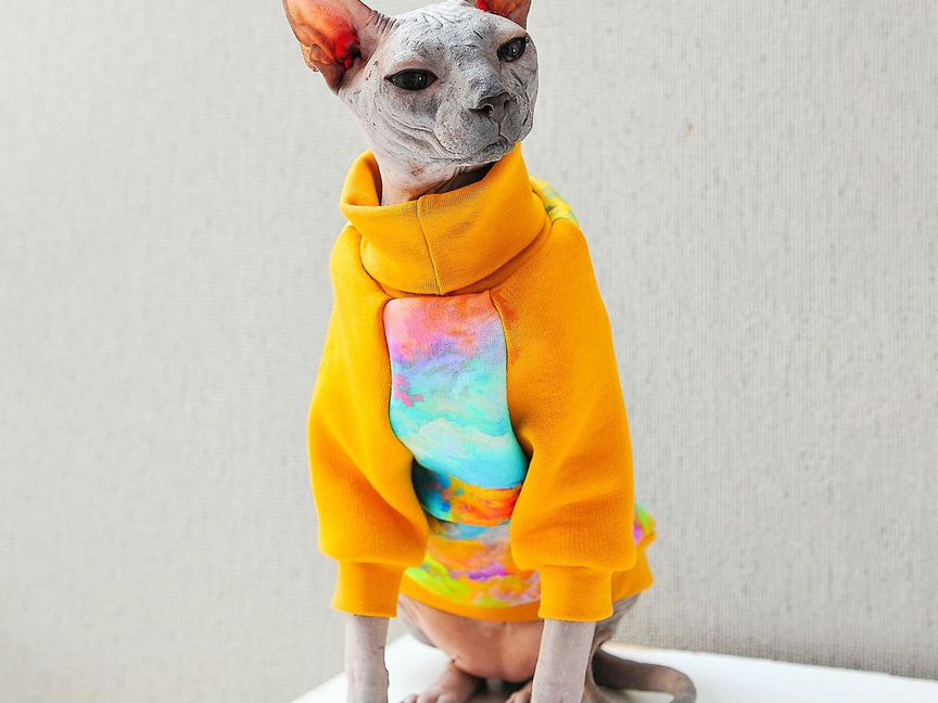 Свитшот для кошек и собак, размеры все