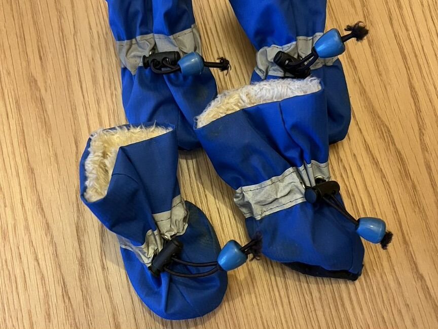 Ботинки для маленьких собак