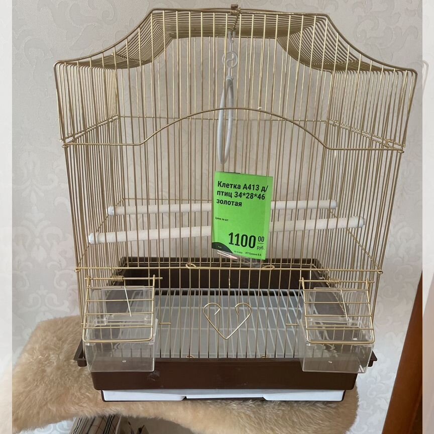 Попугай,для птиц