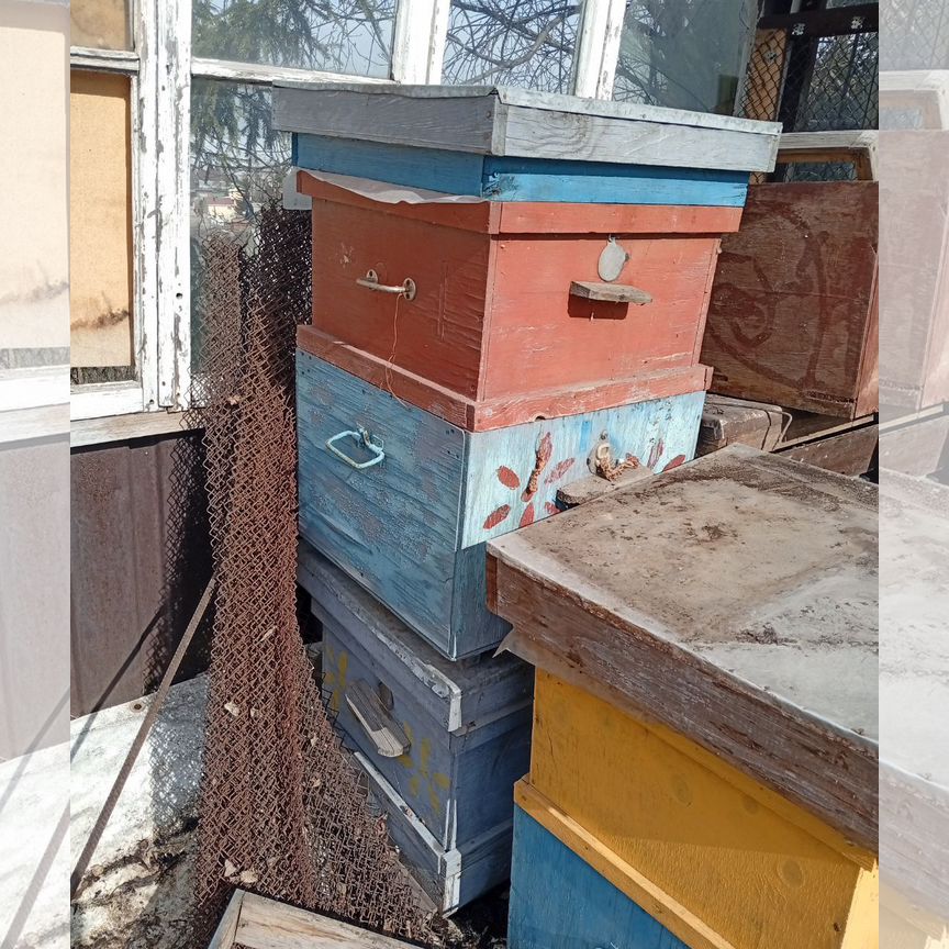 Продам ульи для пчел бу