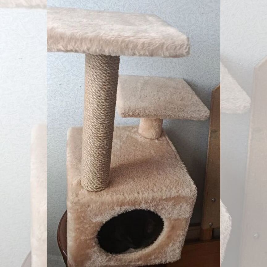 Когтеточка. домик для кошки