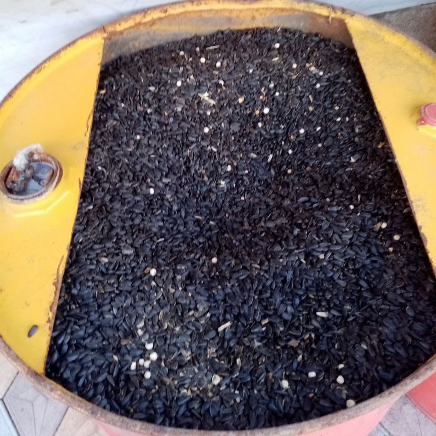 Семечки подсолнечника