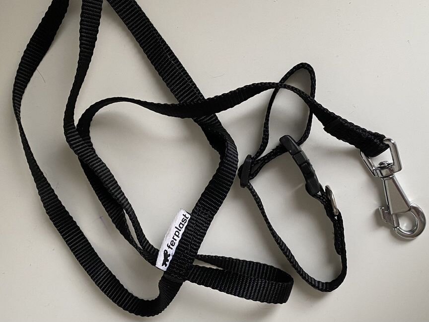 Поводок и ошейник ferplast xs
