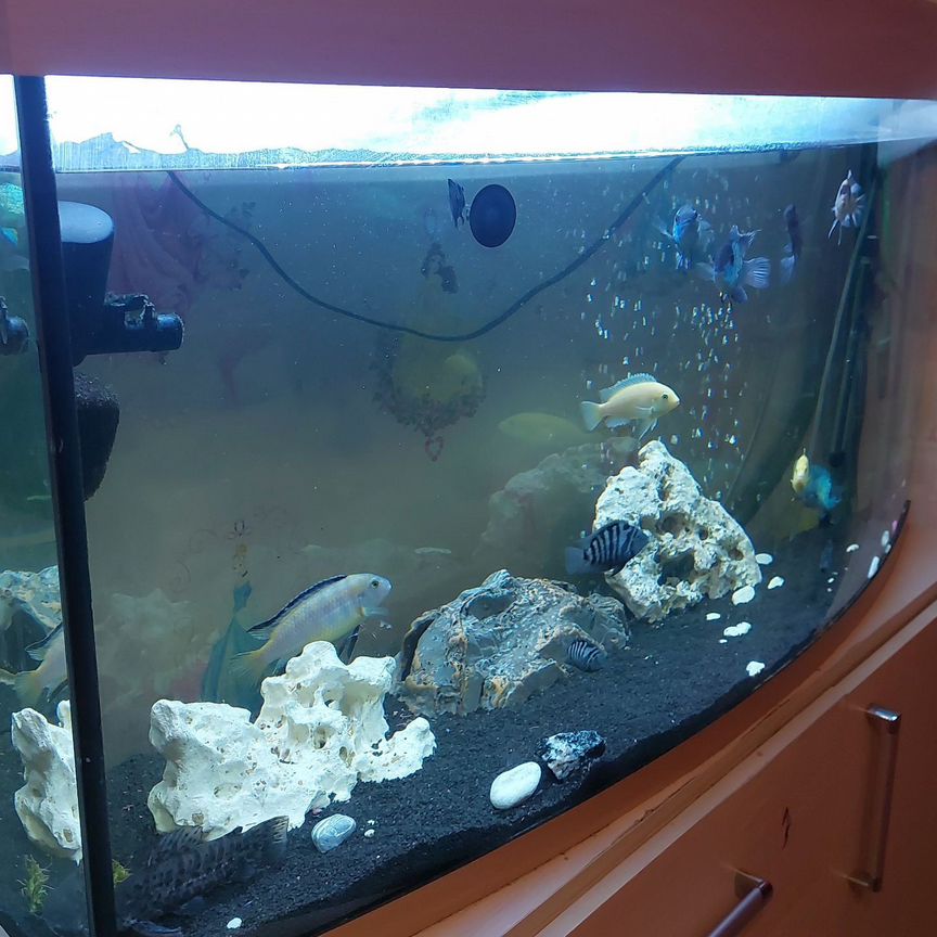 Аквариум 290-300 литров