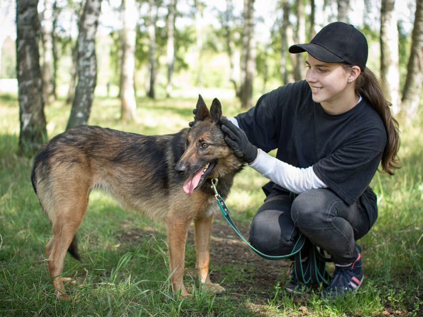 Заберите Зиру из приюта