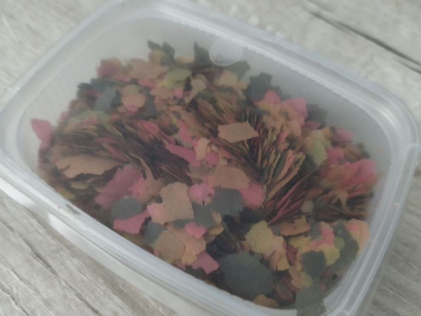 Корм тетра обмен на анубиасы