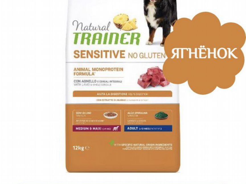 Корм для собак