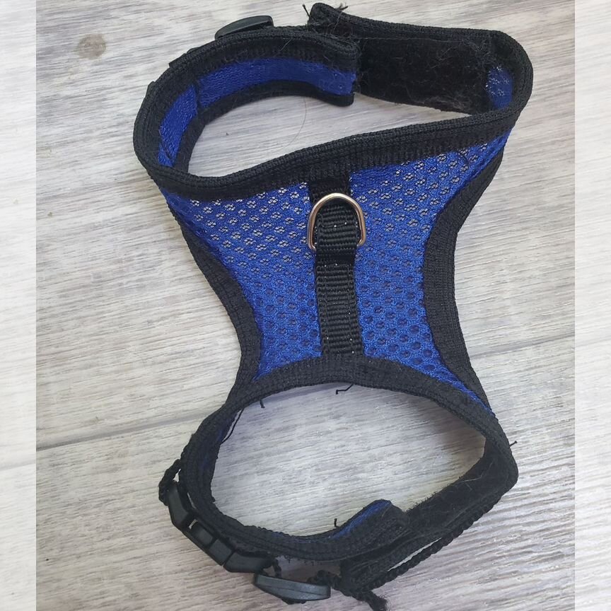 Шлейка с поводком для кролика, грызунов