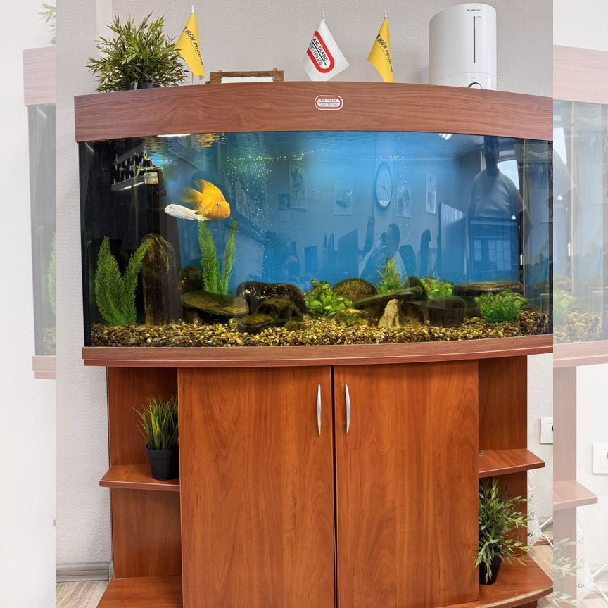 Аквариум с тумбой рыбки
