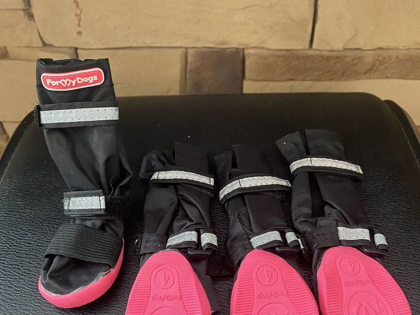 Сапожки для собак