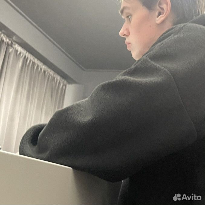 Джунгарский хомяк мальчик