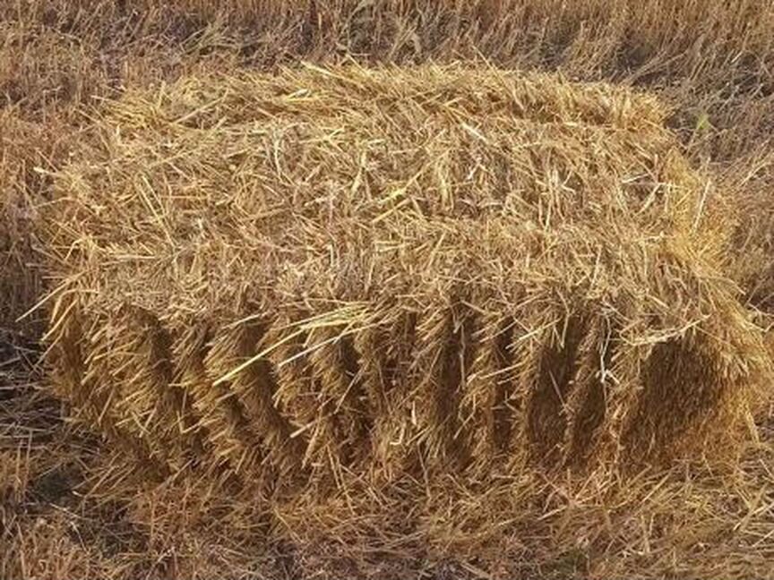 Солома в тюках