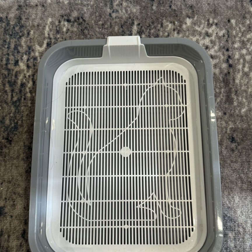 Кошачий лоток