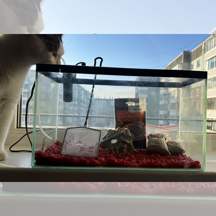 Аквариум 19л