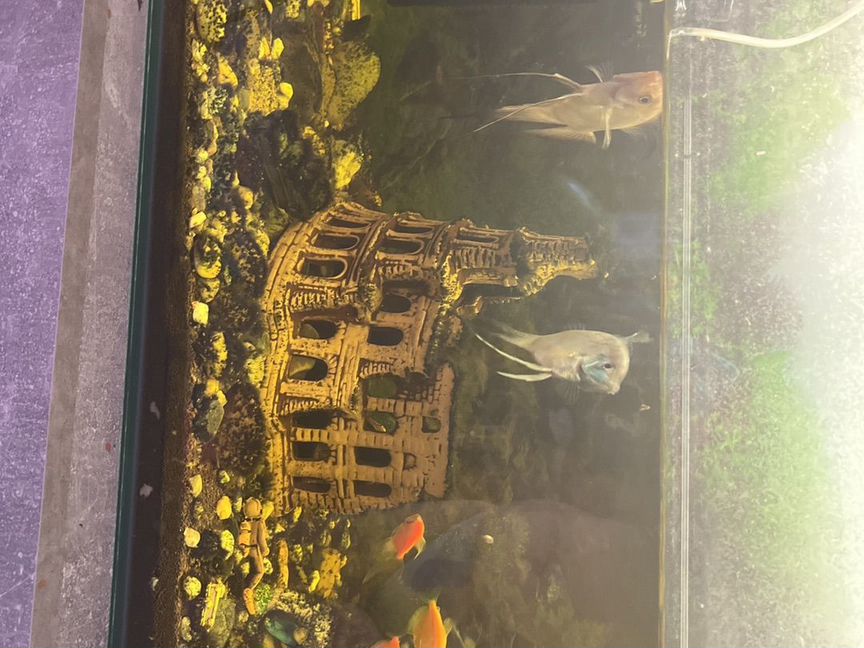 Украшение для аквариума