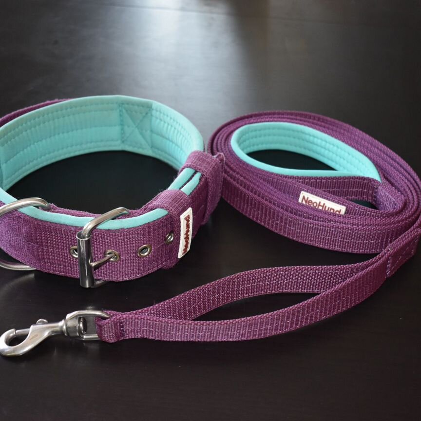 Ошейник и поводок Neohund