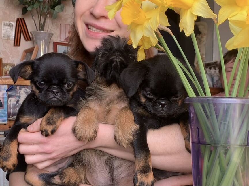 Домовята ждут своих владельцев