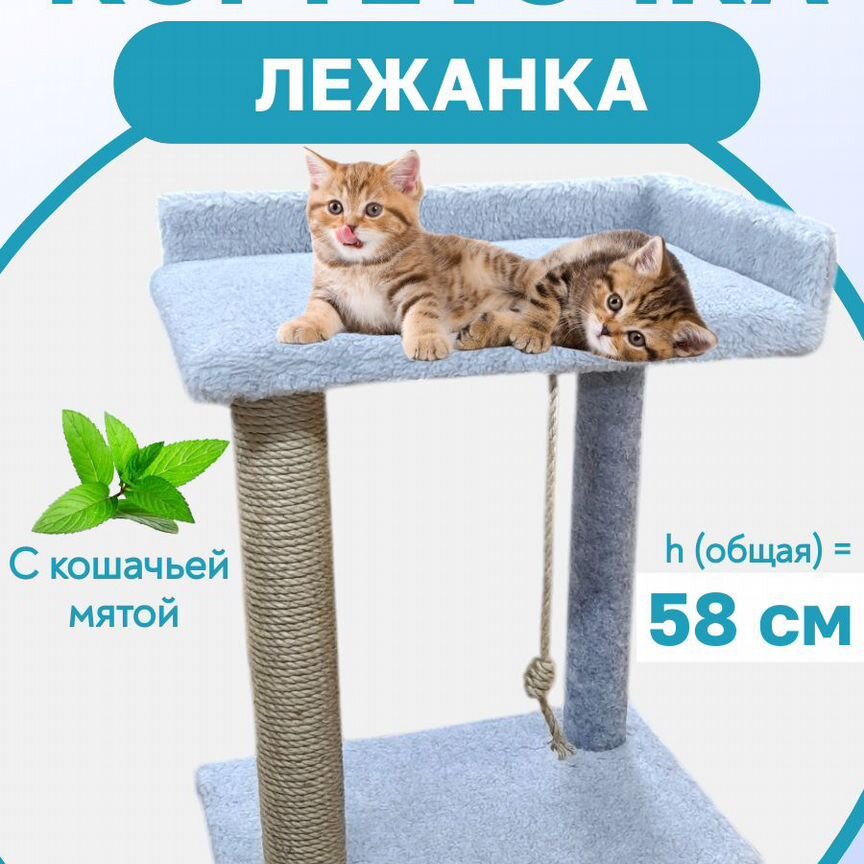 Когтеточка для кошек с лежанкой новая