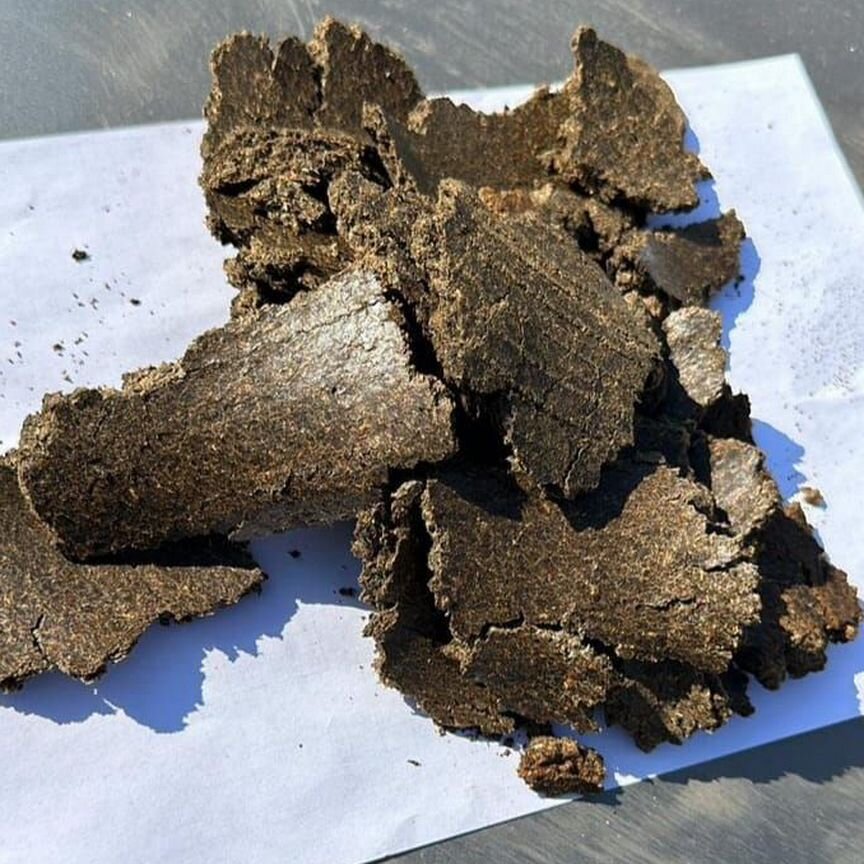 Жмых подсолнечный оптом