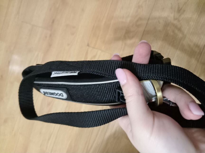 Ошейник для собак