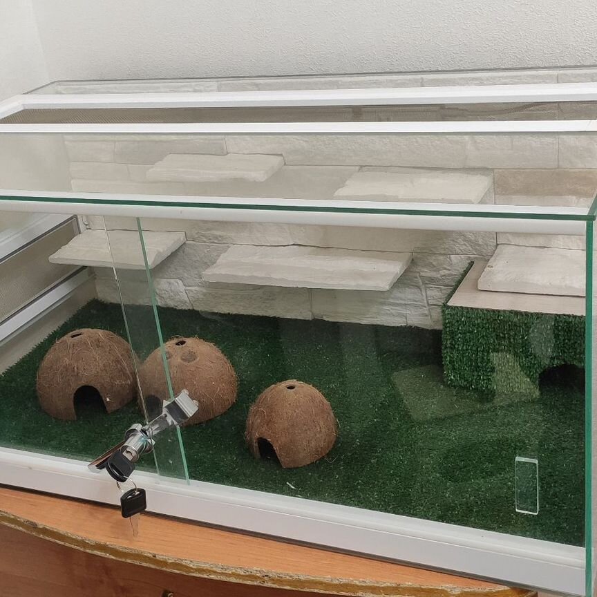 Террариум для рептилий