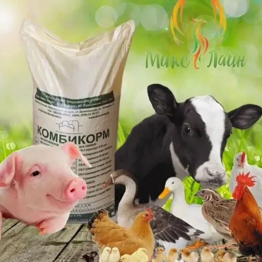 Товары для животных