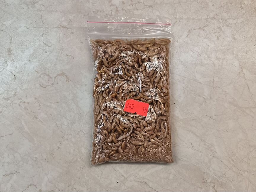 Гамарус корм для рыбок или улиток