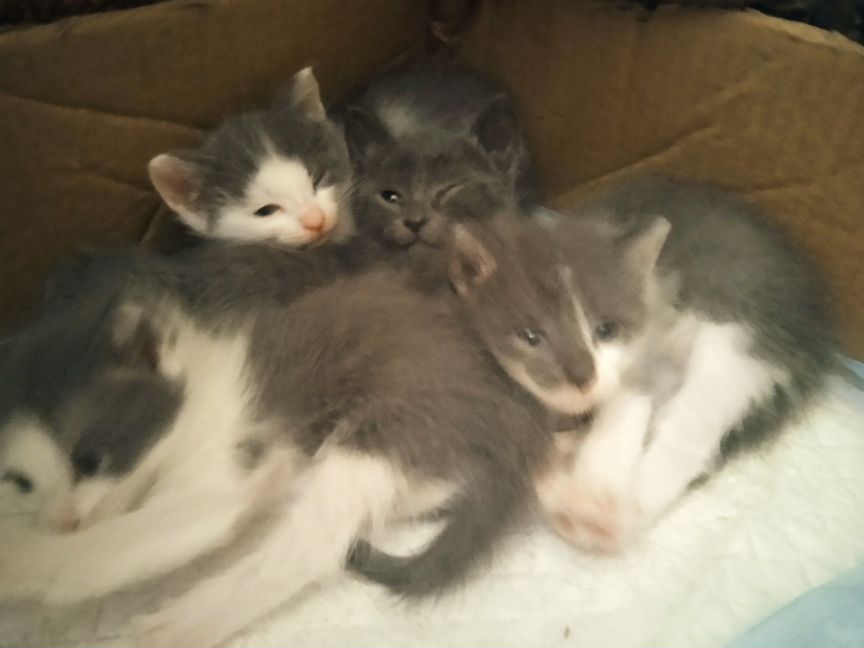 Красавчики мальчишки